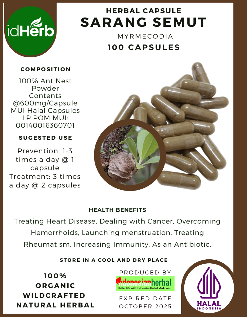 100 Capsule Of Myrmecodia, Sarang Semut, Ant's Plant @600mg for Health ...